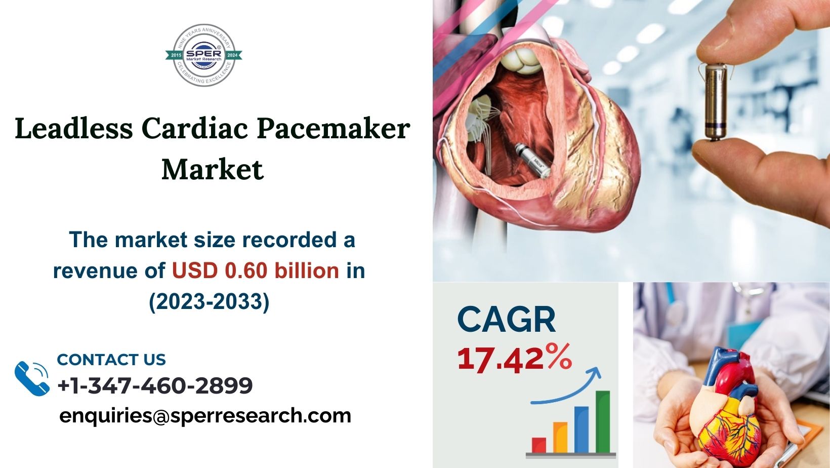 Cardiac Pacemaker Market Revenue, Share and Future Outlook